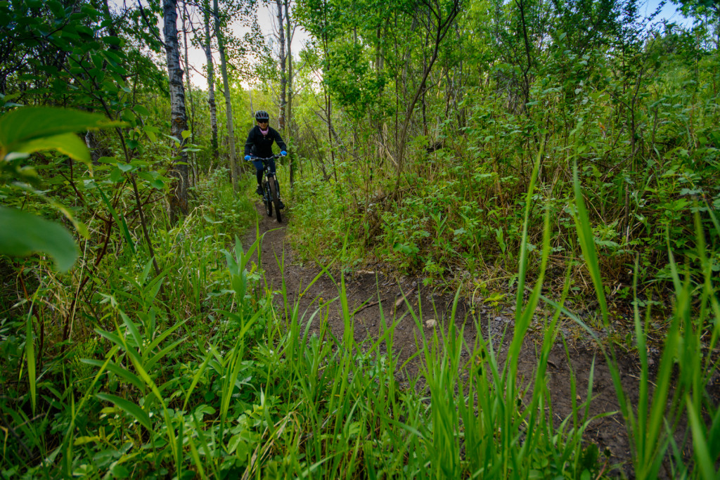 Preserving Paskapoo Slopes - Trinity Hills